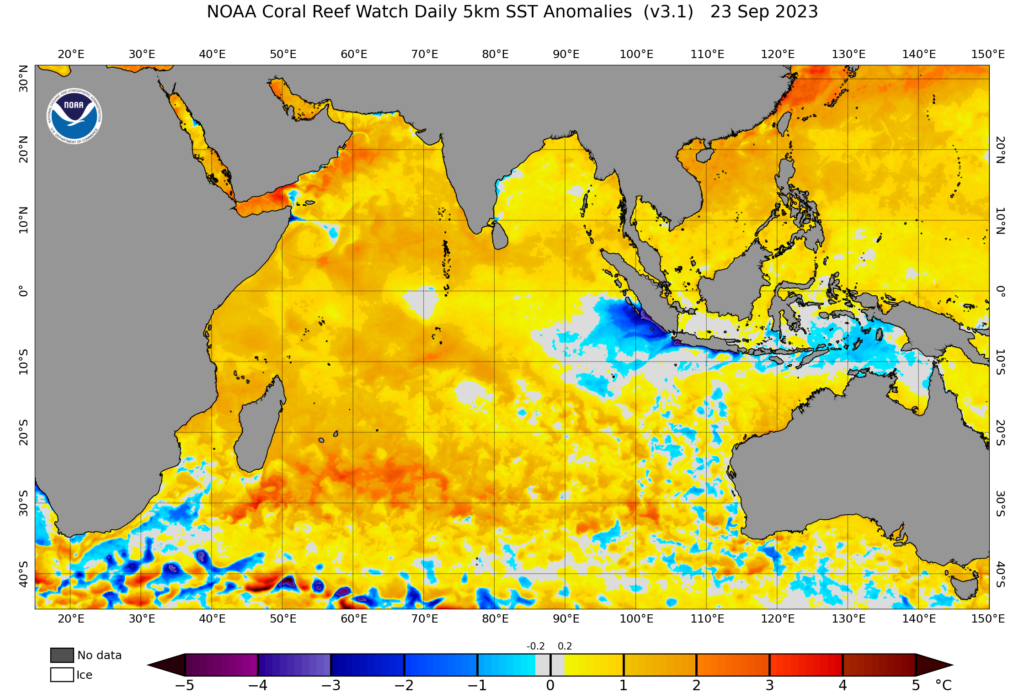 Positive Indian Ocean Dipole (IOD) strengthening | DTN APAC